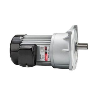 LV Vertical Gear Motor - Engsup Automation Sdn. Bhd.